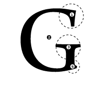 Type anatomy