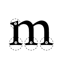 Type anatomy